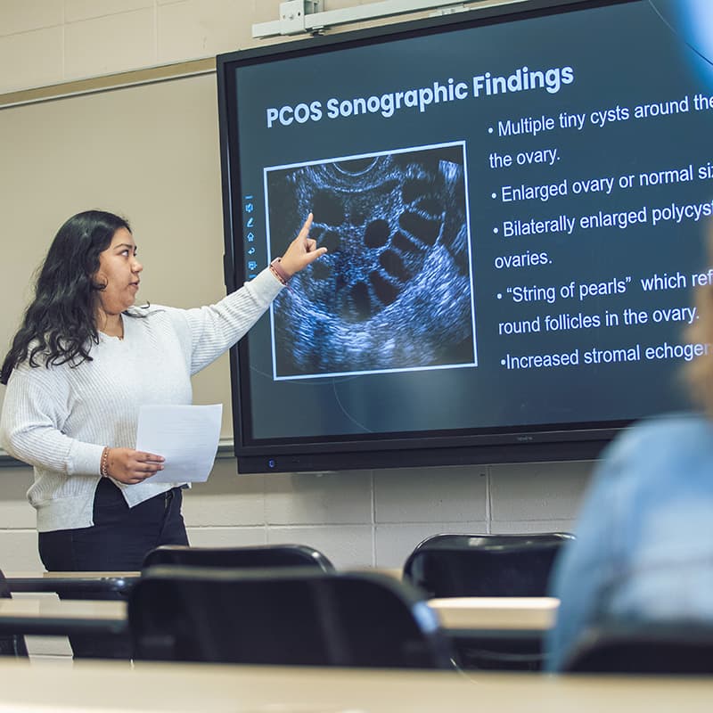 Sonography Program | Newman University